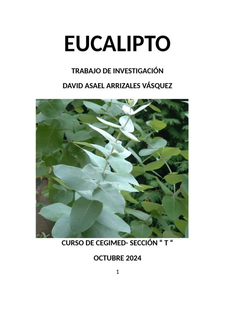 EUCALIPTO | PDF
