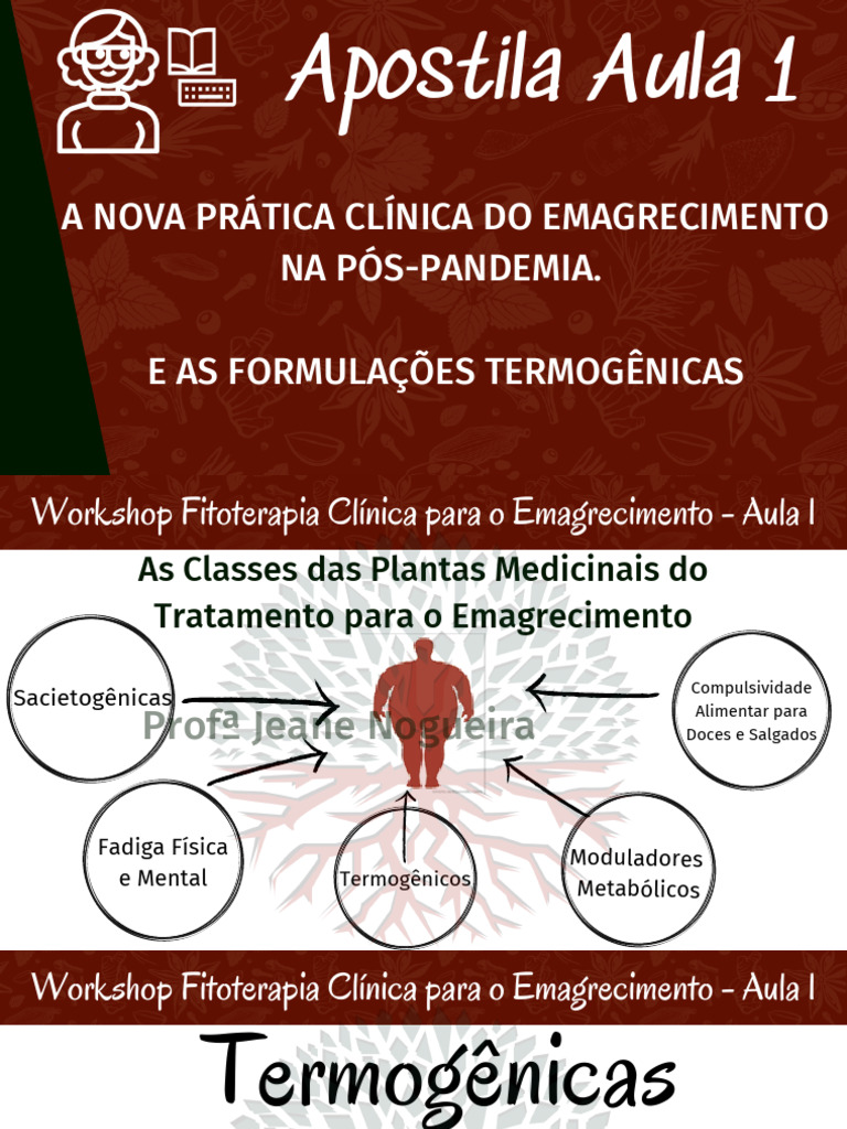 Aula 1 | PDF