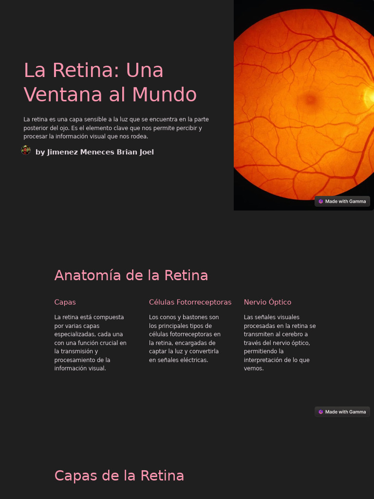 La Retina Una Ventana Al Mundo | PDF