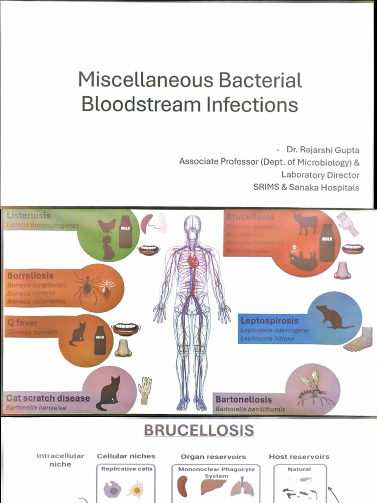 Blood Stream Infections RG Sir | PDF