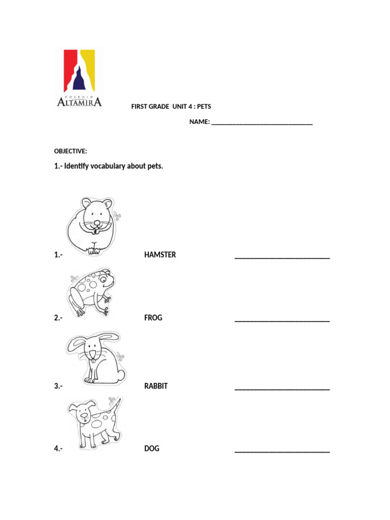 First Grade Unit 4 Vocabulary | PDF