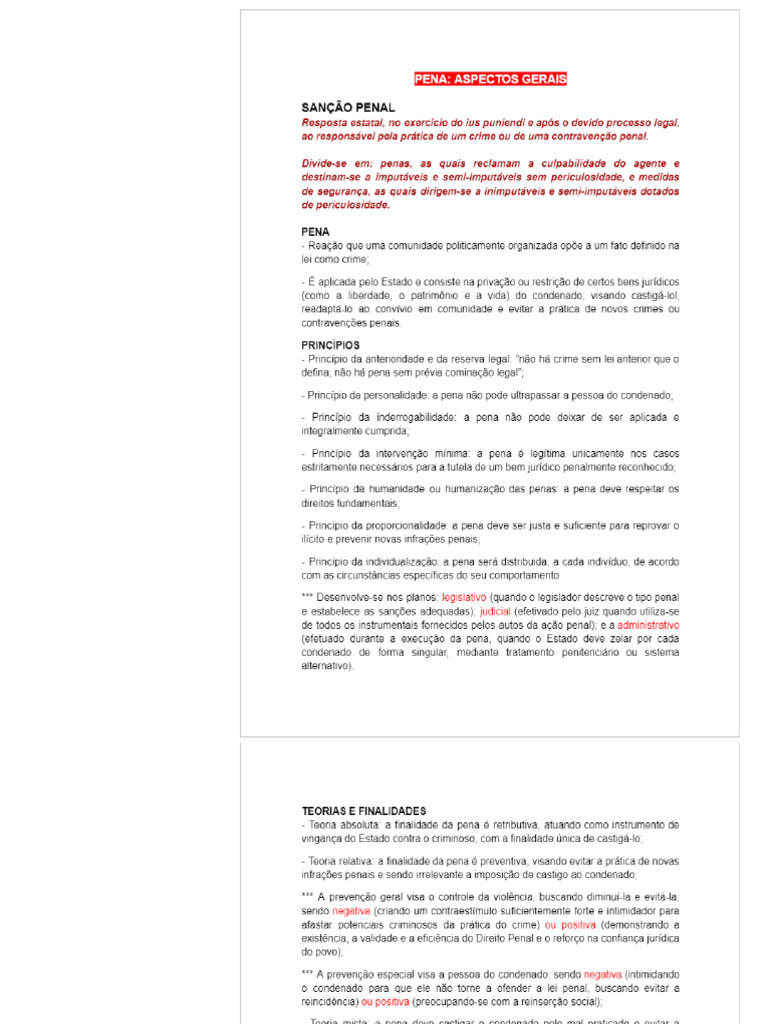 Teoria Geral Da Pena Anotações Documentos Google Pdf