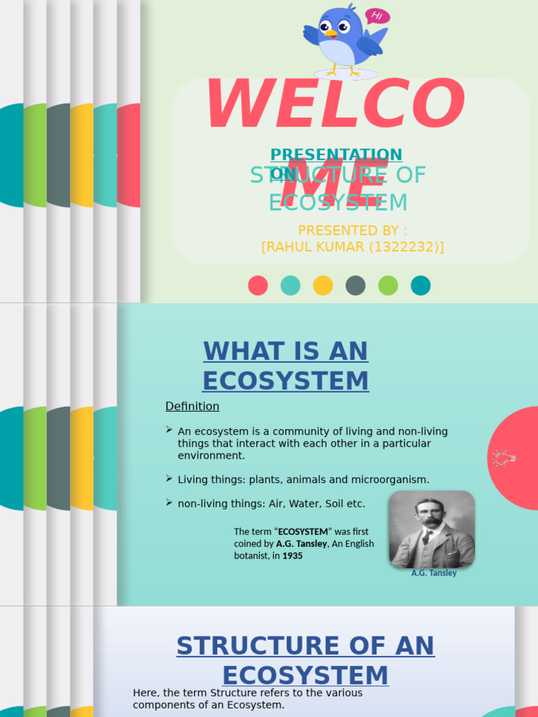 Ecosystem Structure Explained | PDF | Ecosystem | Ecology