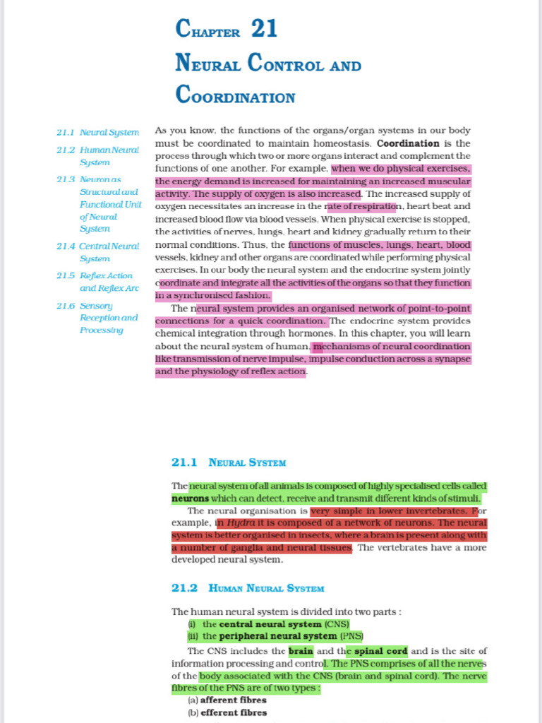Neural Control | PDF