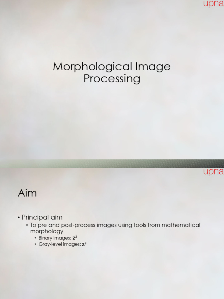 Morphological Processing B | PDF