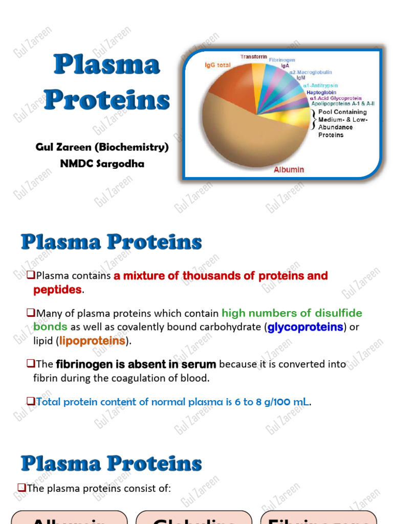 Plasma Proteins | PDF