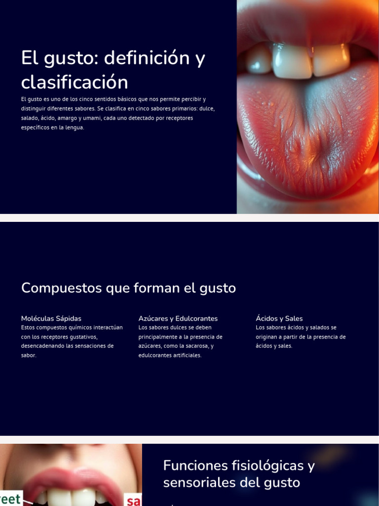 El Gusto Definicion y Clasificacion PDF | PDF