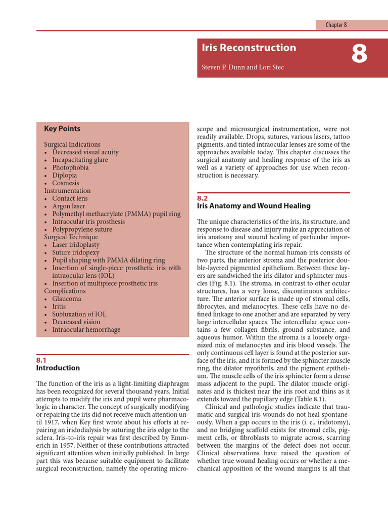 IRIS Reconstruction | PDF