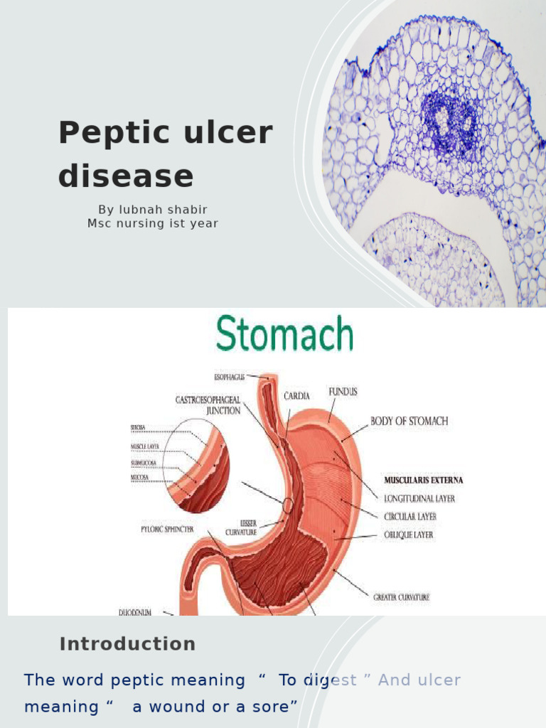 Pud Presentation | PDF | Stomach | Wellness