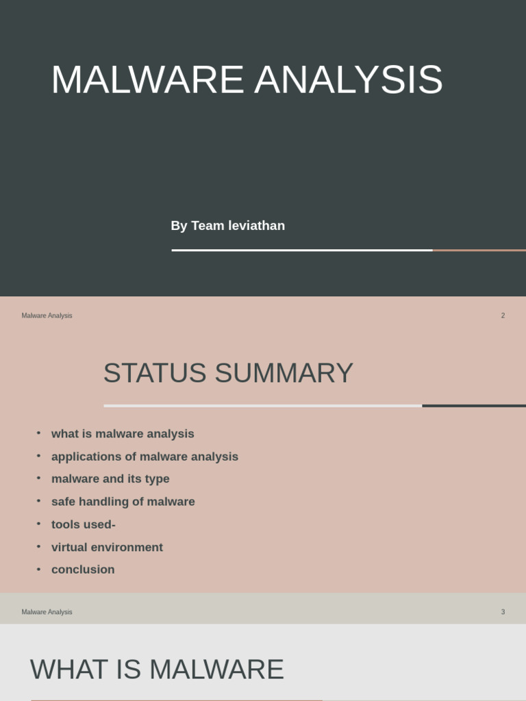 Malware Analysis | PDF