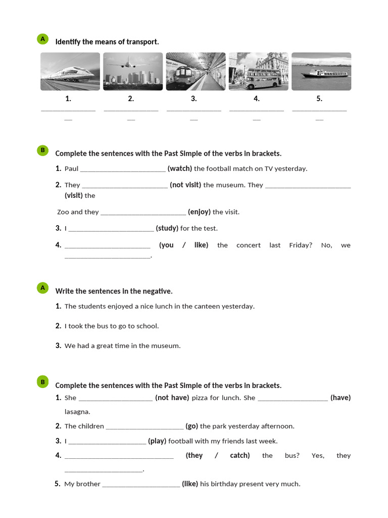 Past Simple Exercises & Transport Identification | PDF