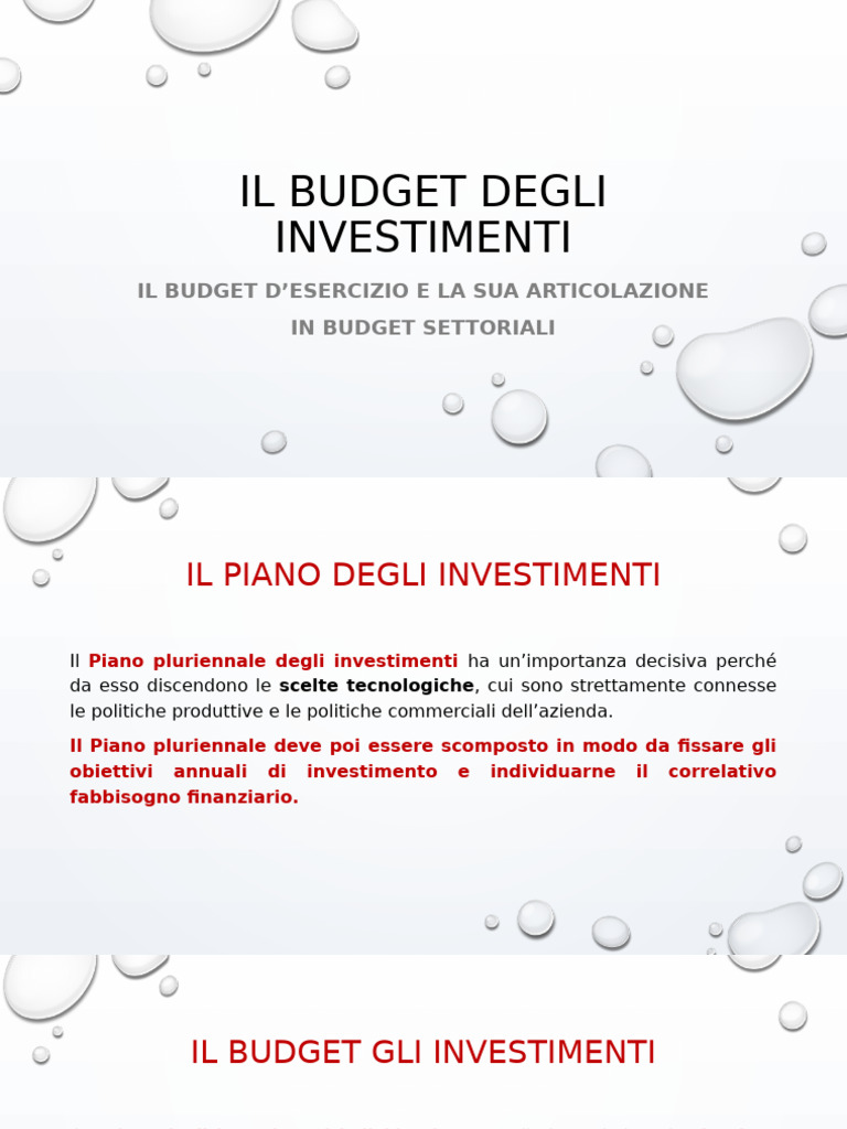 Budget Degli Investimenti | PDF