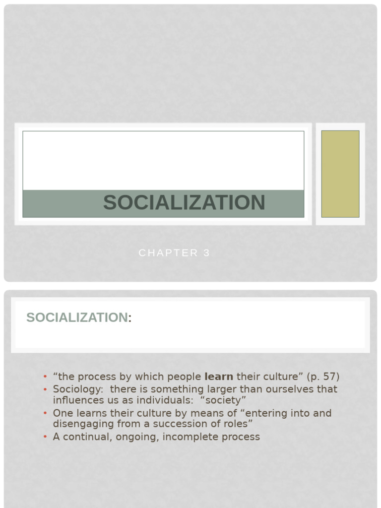 CH 3 Socialization Outline | PDF