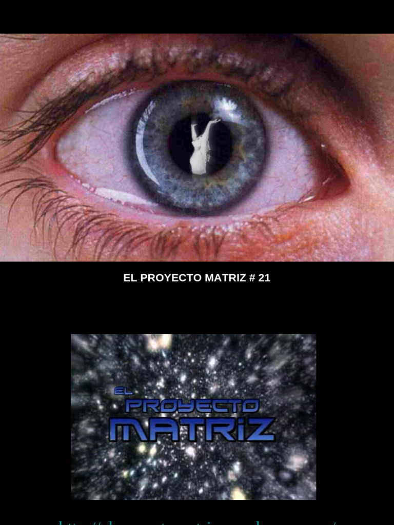 El Proyecto Matriz 21 Fin Del Letargo Compilacion DVD 2 | PDF