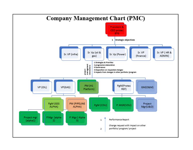 A1. Company Organization Chart (PMC) | PDF