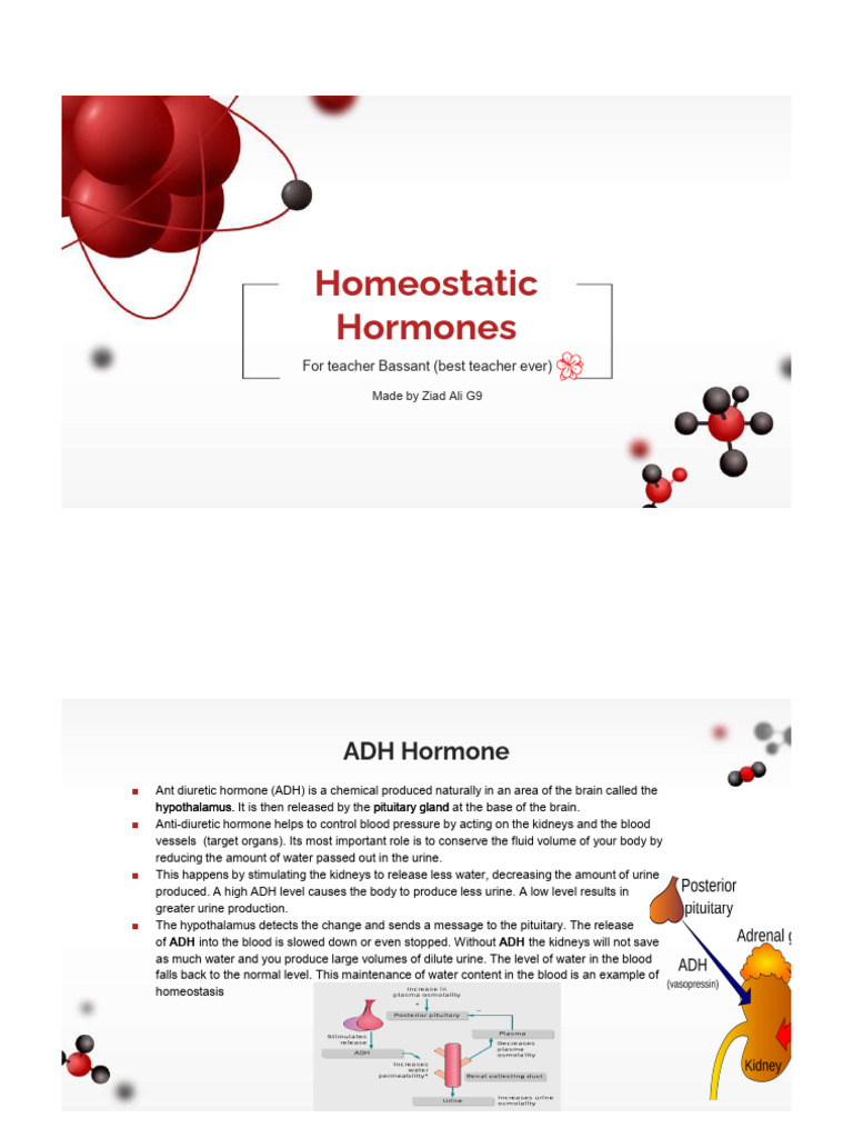 Zeyad Ali Biology Project | PDF | Glucose | Homeostasis