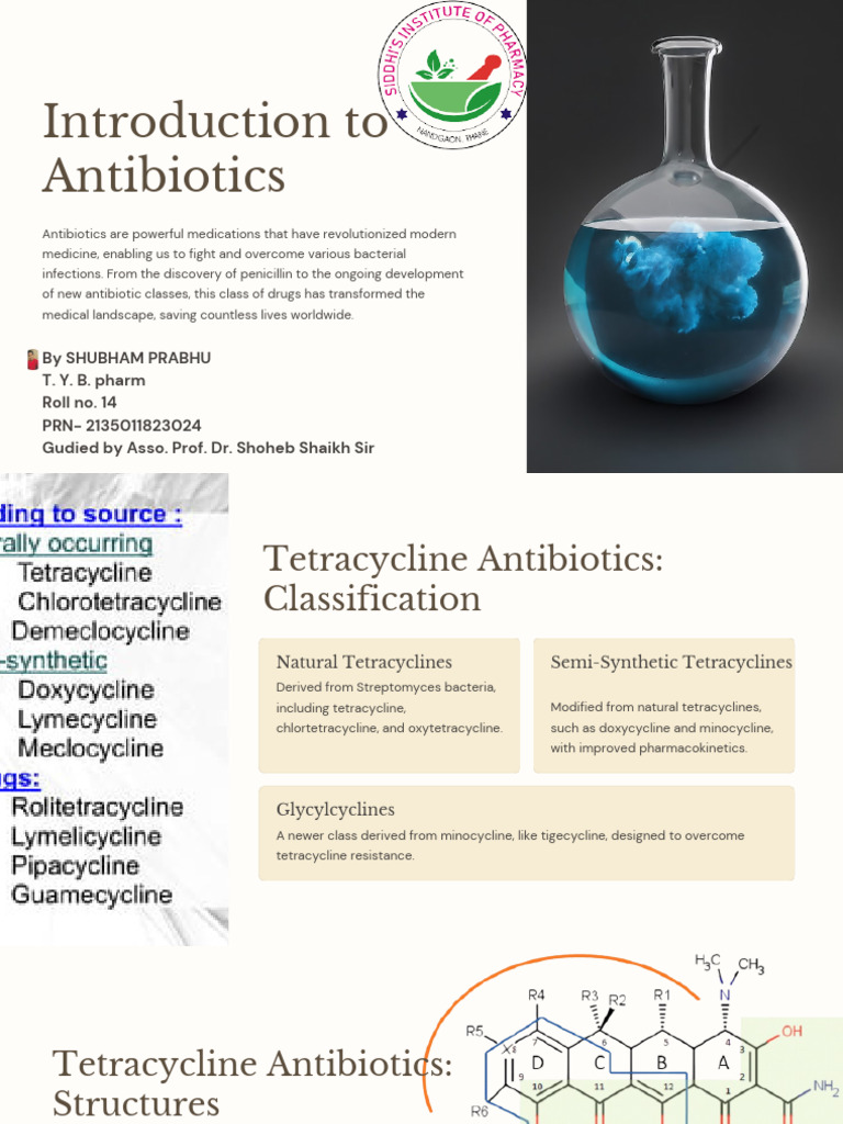 Introduction-To-Antibiotics.pptx 20241016 231847 0000 | PDF