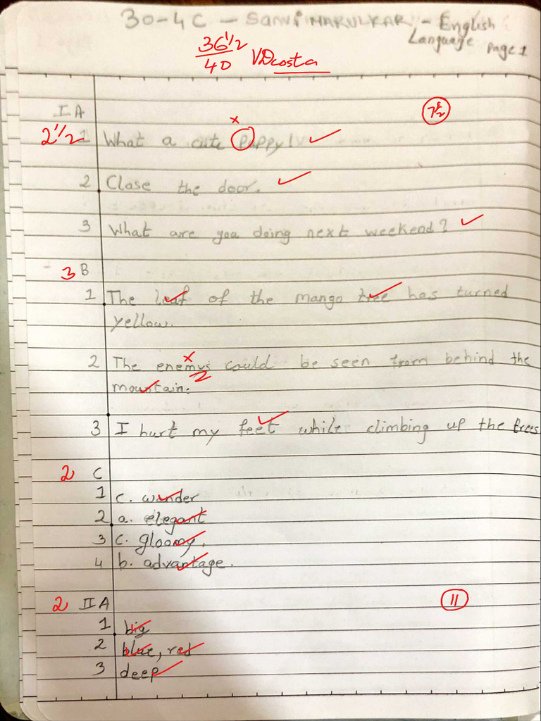 30 Sanvi Marulkar 4C English Language | PDF