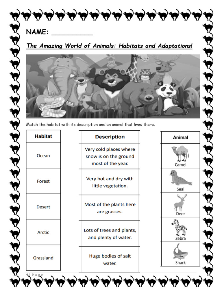 Animals Worksheet | PDF