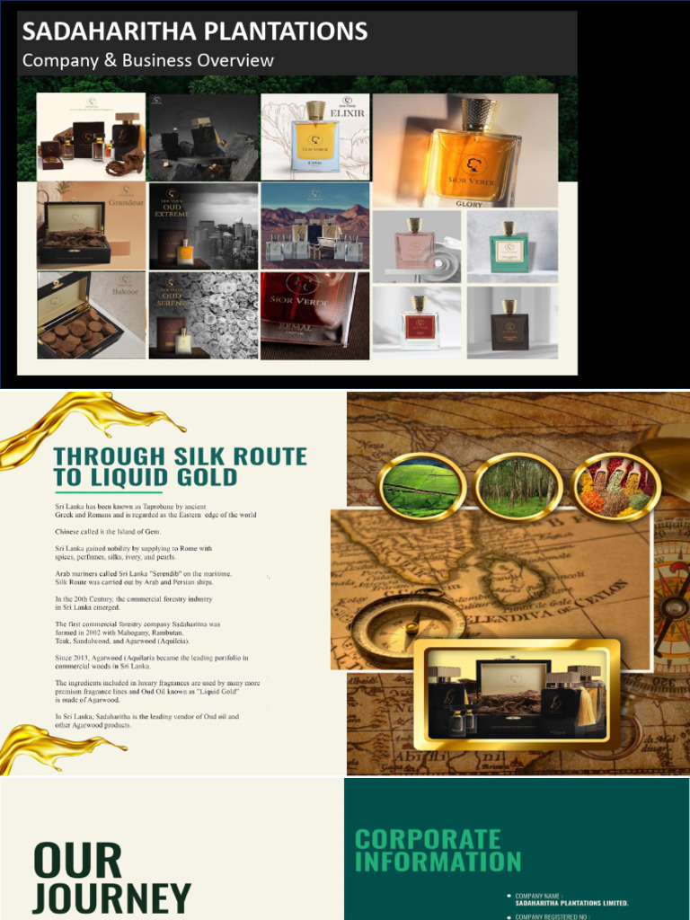 SPL Company Profile - 12 Jul 2024 | PDF