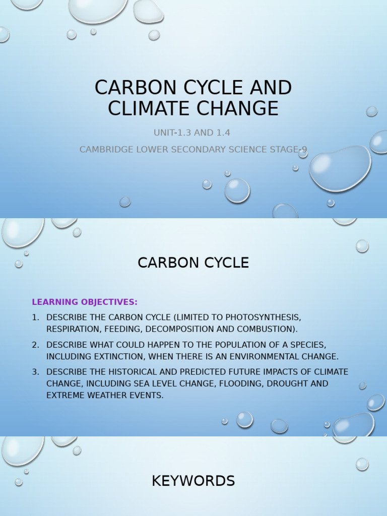 Carbon Cycle and Climate Change | PDF