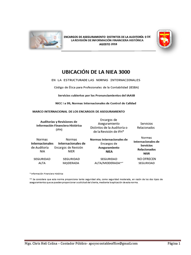GUIA NIEA 3000 AGOSTO 2018-Informenes y Actuaciones | PDF
