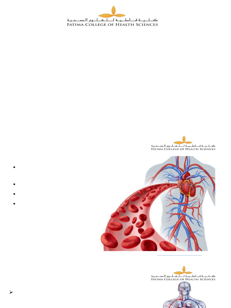 Week 5 - Cardiovascular Terminology | PDF