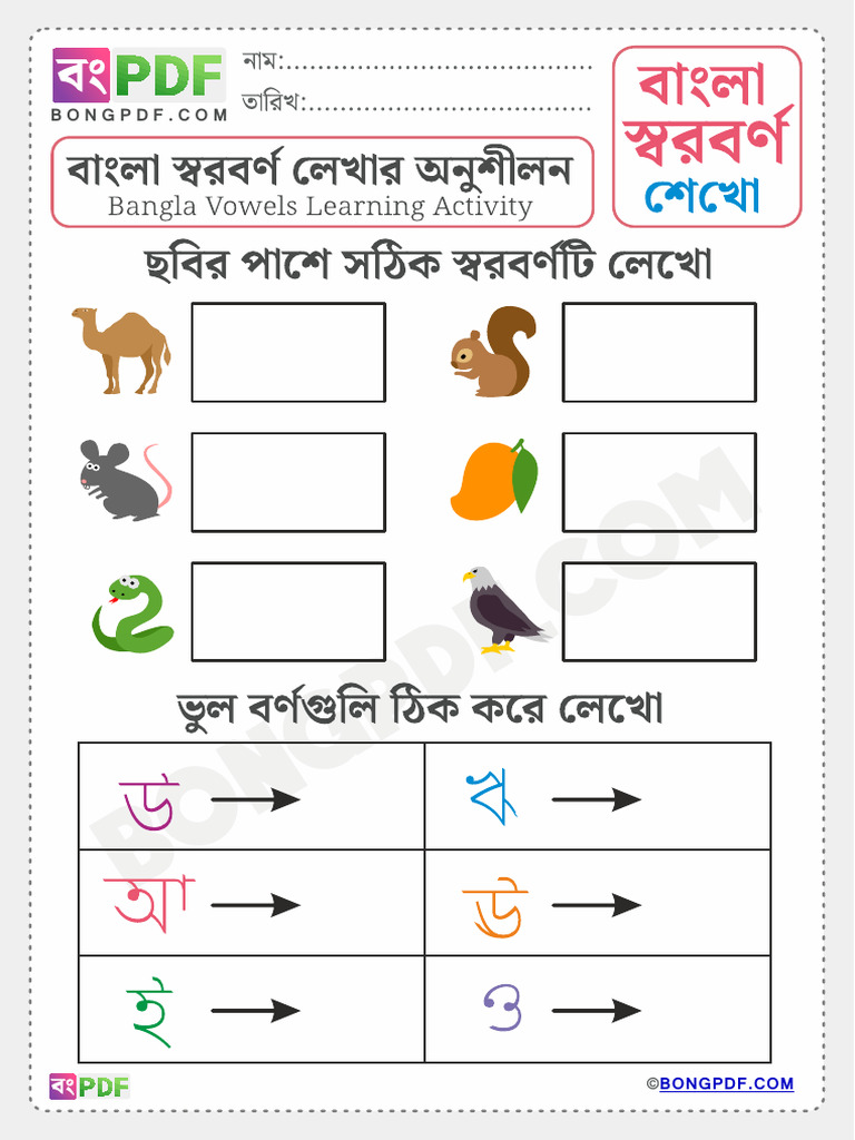 Bengali Vowels Activity Worksheets | PDF