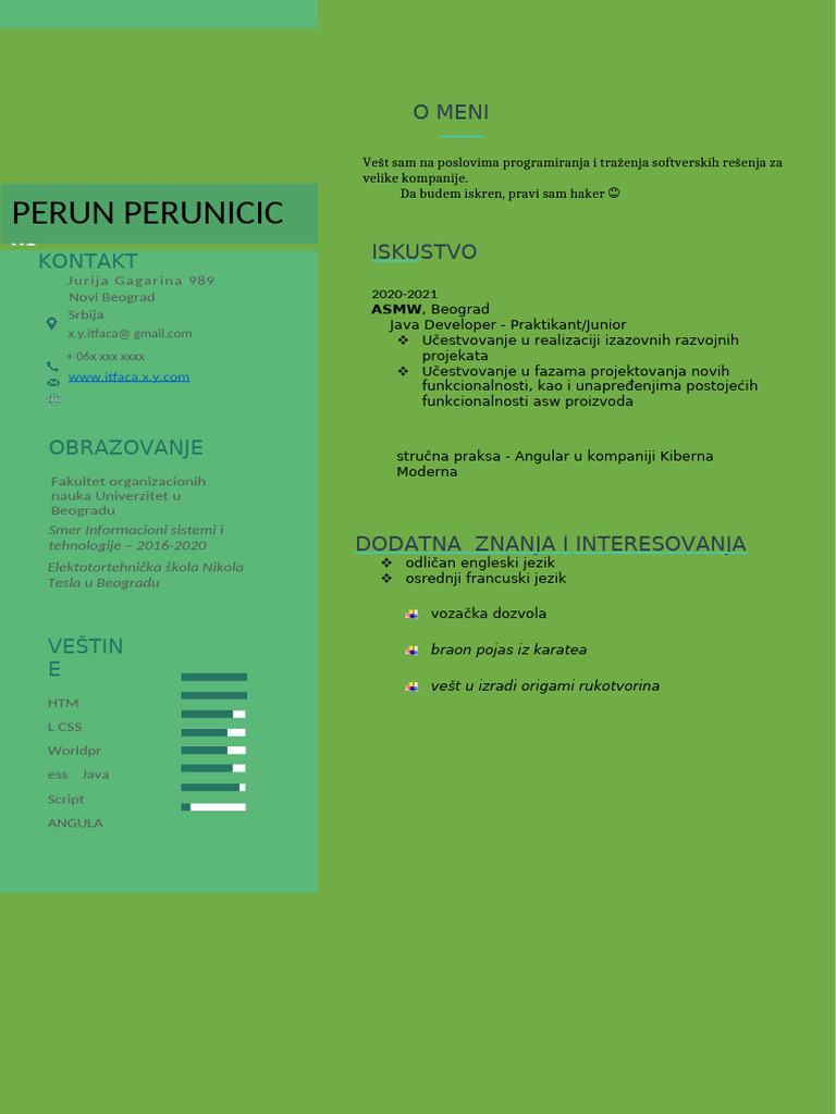 Primer Radne Biografije Sa Tipicnim Greskama | PDF