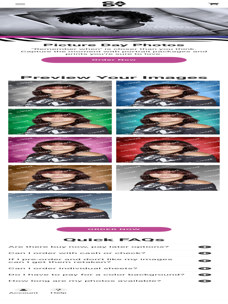 Cady Studios - Gallery | PDF