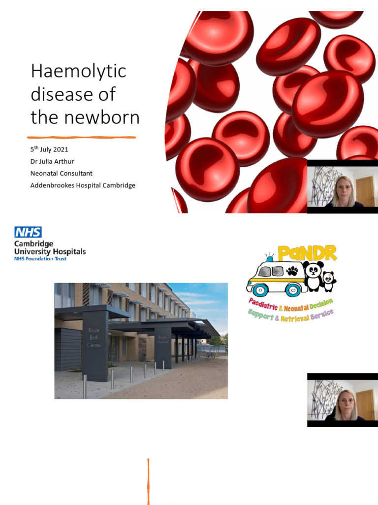 Haemolytic Disease of The Newborn | PDF | Anatomy | Hematology