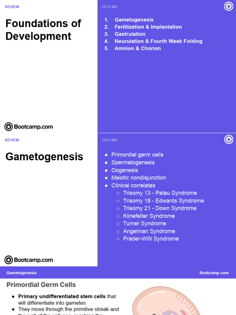 Unit 1 - Foundations of Development | PDF | Developmental Biology ...