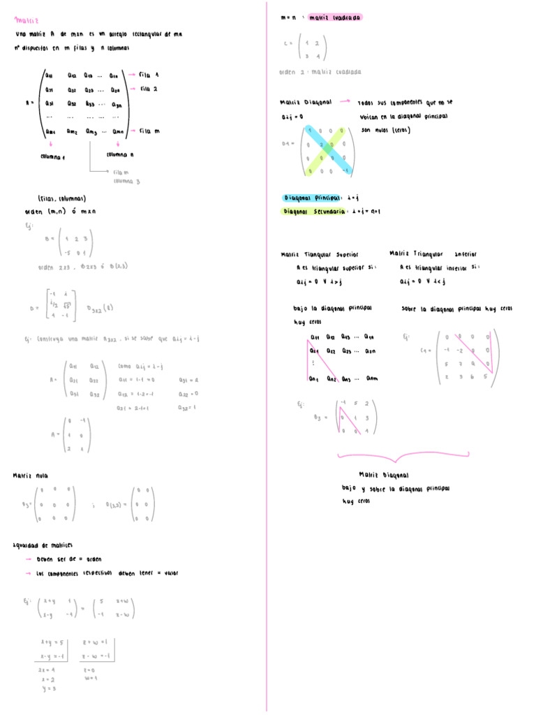 Matrices y Sistemas de Ecuaciones | PDF