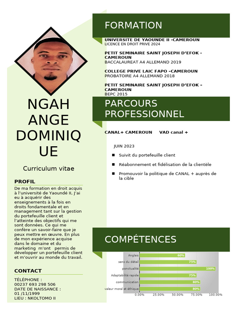 Cv Ngah Ange Dominique | PDF