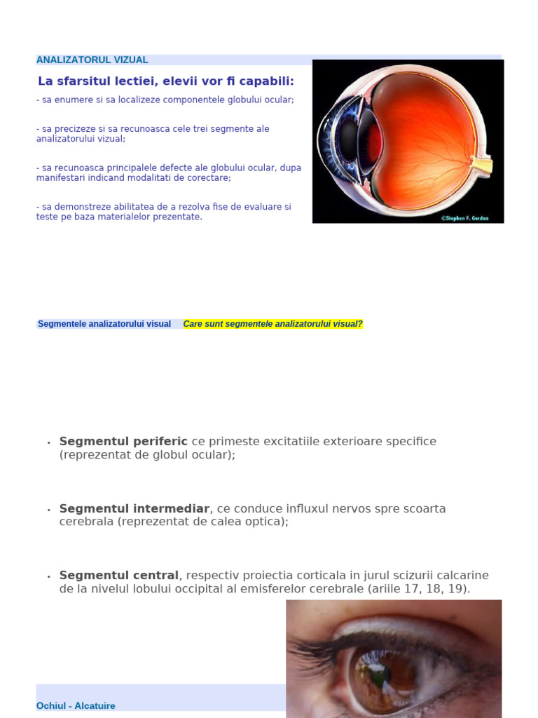 Analizatorul Vizual | PDF