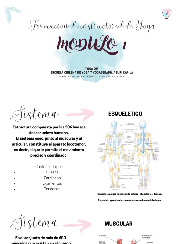 Modulo Anatomia 1 1 Pdf