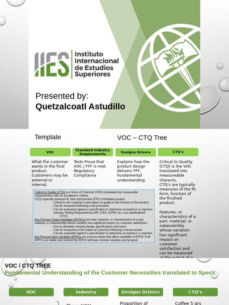 VOC CTQ Template | PDF
