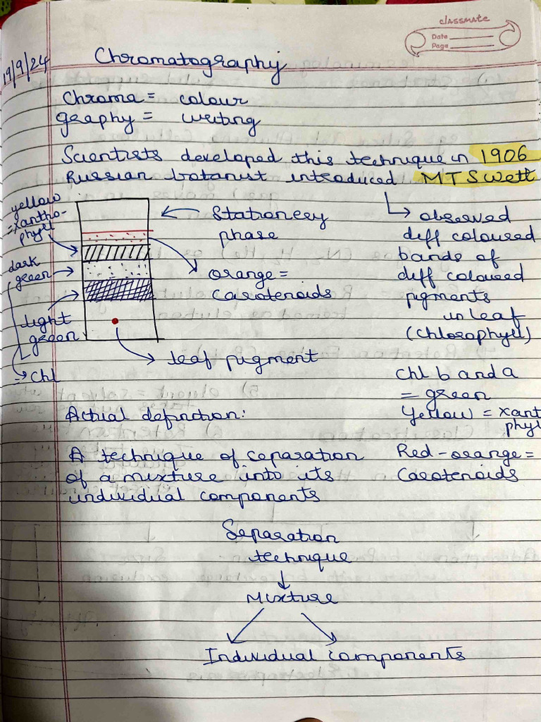 IMA - Chromatography | PDF