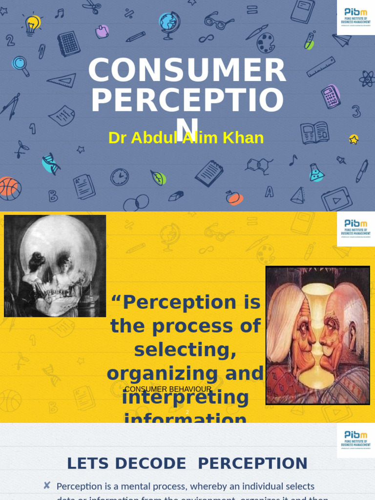 Consumer Perception | PDF