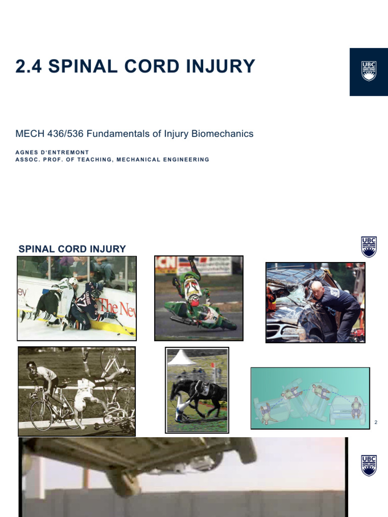 2-4 Spinal Cord Injury 2023W | PDF