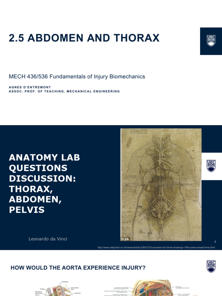 2-5 Abdomen and Thorax 2023W | PDF