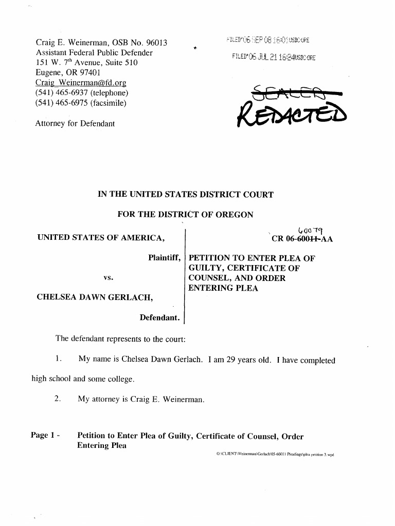 Chelsea Dawn Gerlach Guilty Plea Petition | PDF | Plea | United States ...