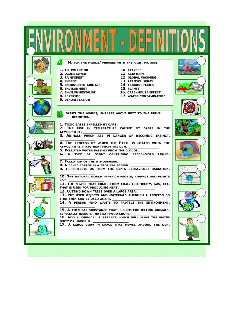 Environment Definitions | PDF