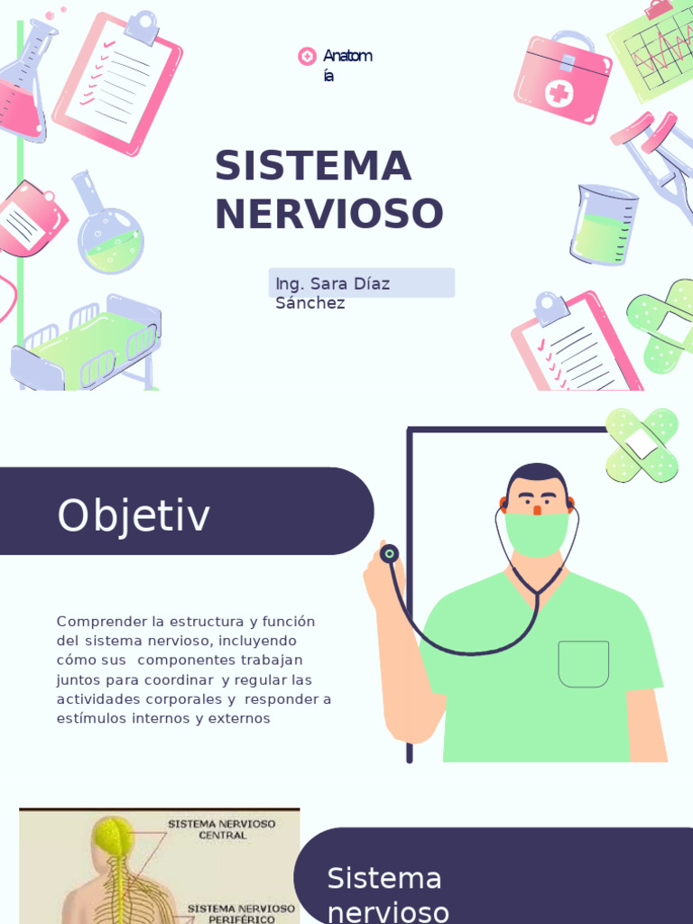 Sistema Nervioso | PDF