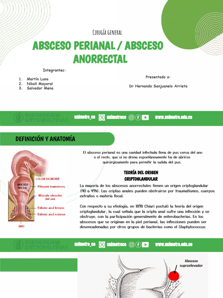 Absceso perianal _anorrectal.pptx | PDF