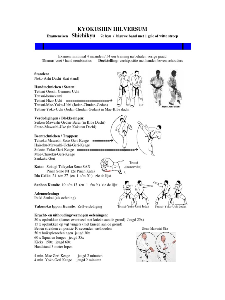 Examen Eisen 7e Kyu | PDF