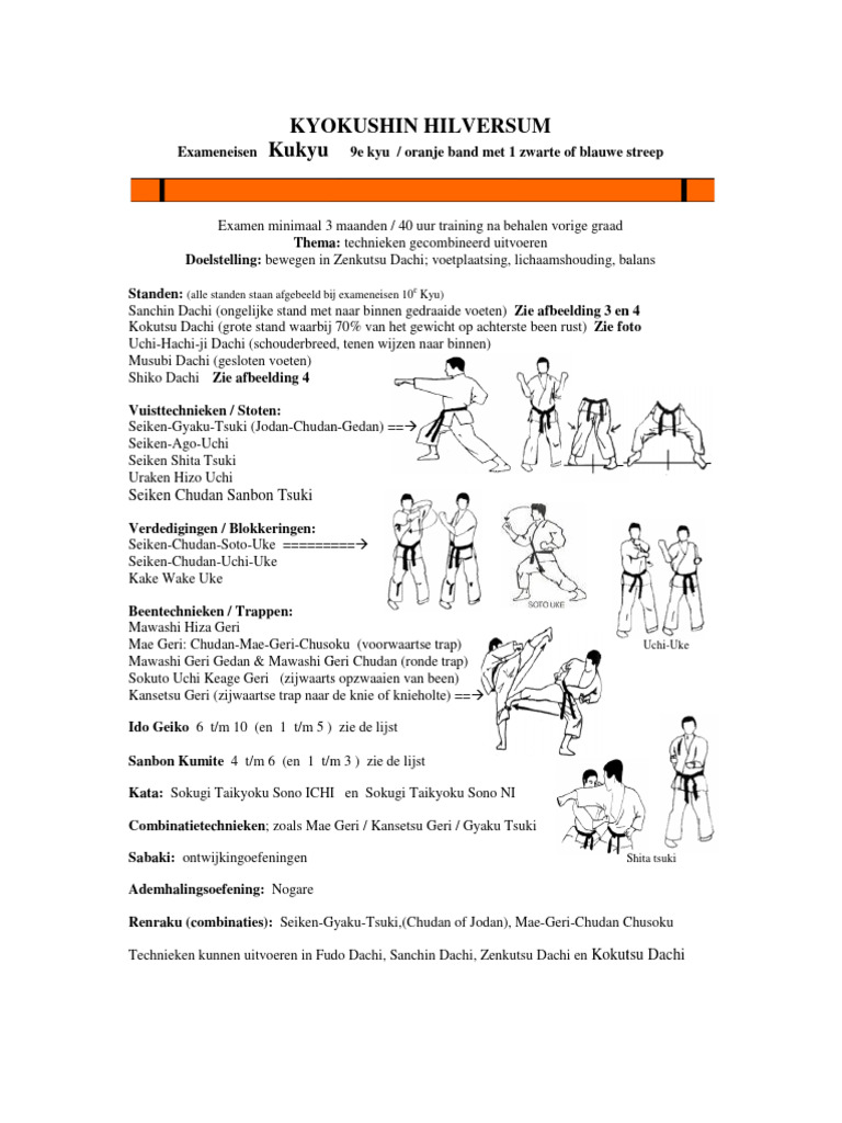 Examen Eisen 9e Kyu | PDF