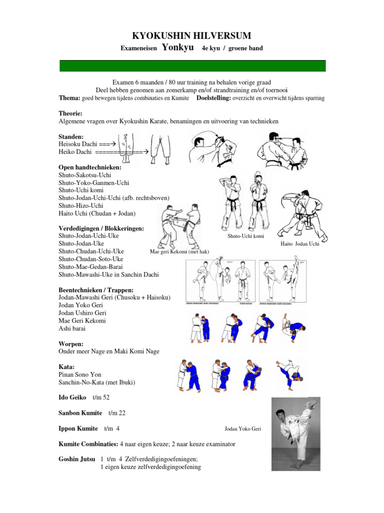 Examen Eisen 4e Kyu | PDF