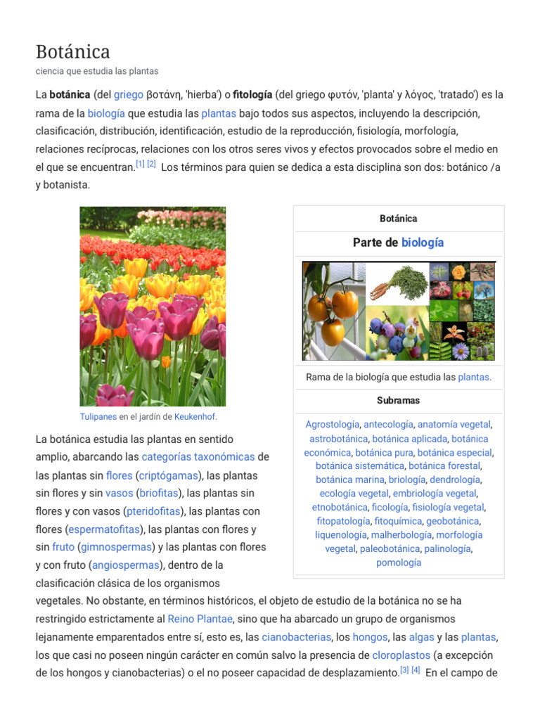 Introducción a la Botánica en Biología | PDF | Botánica | Ciencia y ...