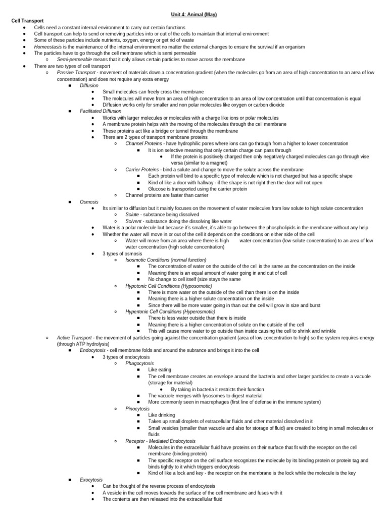 Unit 4 - Animal | PDF
